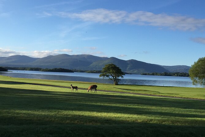 Dublin Airport Private Transfer: Killarney to Dublin Airport - The Booking Process and What to Expect