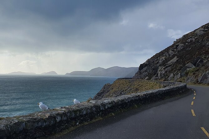 Dublin Airport to Galway ,Private Chauffeur Service - Booking and Reservation