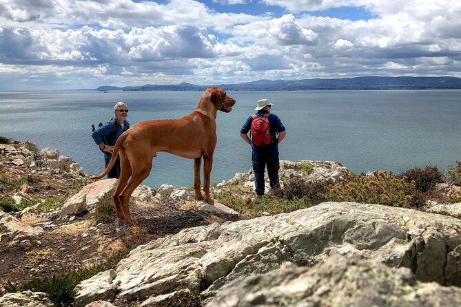 Dublin Coastal Hike with Howth Adventures - Why This Hike Is Worth Your Time