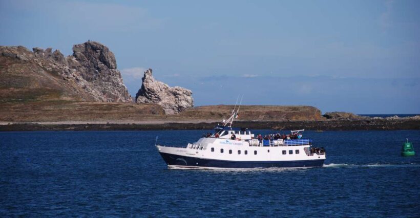 Dublin: Dublin Bay Cruise from Howth to Dun Laoghaire - Why This Cruise Works Well