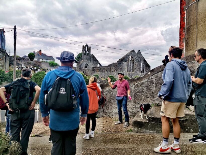 Dublin: Dublin Coastal Hike and Pints & Puppies - Who Will Love This Experience?
