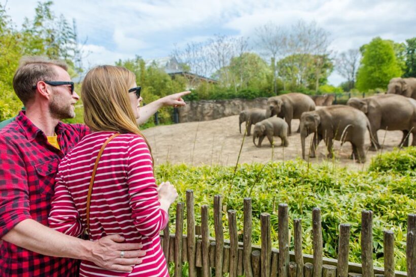 Dublin Explorer Pass: Save up to 50% on 3 to 7 Attractions - The Sum Up