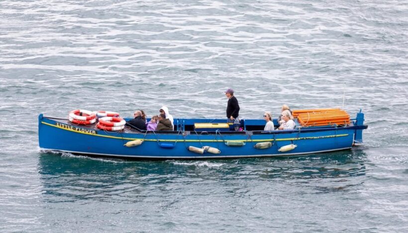 Dublin: Ferry from Howth to Ireland's Eye island - Who Should Consider This Tour?