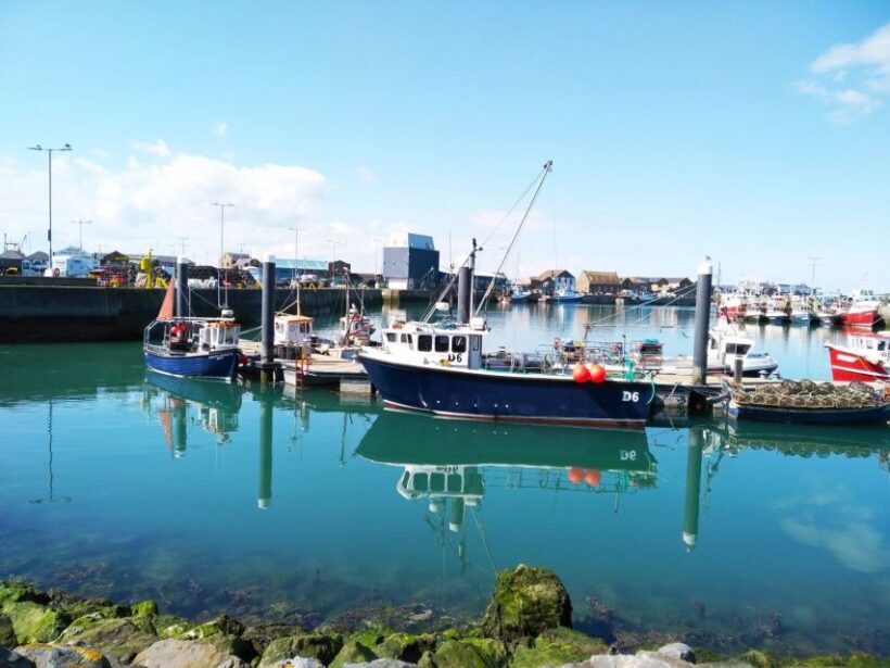 Dublin: Full-Day Howth and Malahide Castle Tour - FAQ