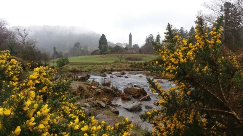 Dublin: Full-Day Wicklow Mountains Tour w/ Glendalough Visit - The Value of This Tour