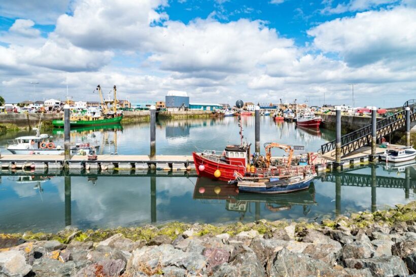 Dublin Great Famine Tour with Fast-Track EPIC Museum Tickets - Key Points