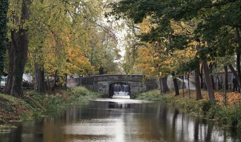 Dublin: Guided Walking Tour of the City Center - Who Should Take This Tour?