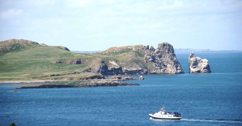 Dublin: Howth Cliffs and Ireland's Eye Boat Cruise - The Experience in Detail