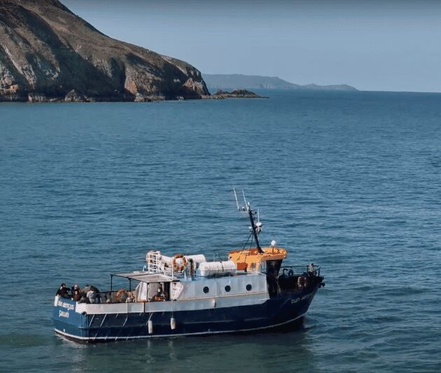 Dublin: Howth Cliffs and Lighthouse Boat Tour - Analyzing the Value