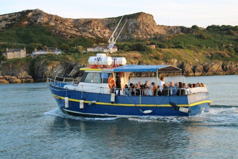 Dublin: Howth Cliffs and Lighthouse Cruise - The Experience: What You Can Expect