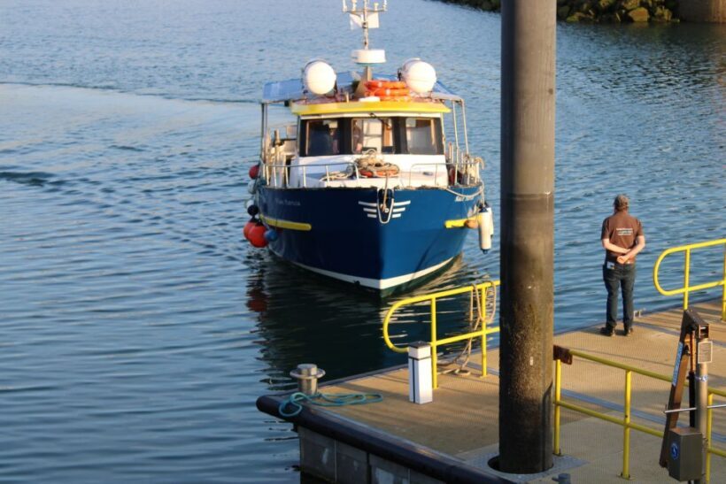 Dublin: Howth Cliffs and Lighthouse Cruise - Authentic Experiences from Reviews