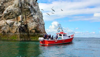 Dublin: Howth Coastal Boat Tour - Key Points