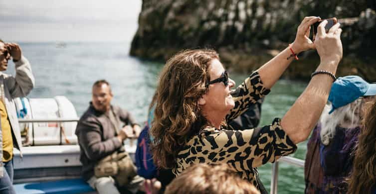 Dublin: Howth Coastal Boat Tour - Exploring Dublin’s Coastline on a Small Boat