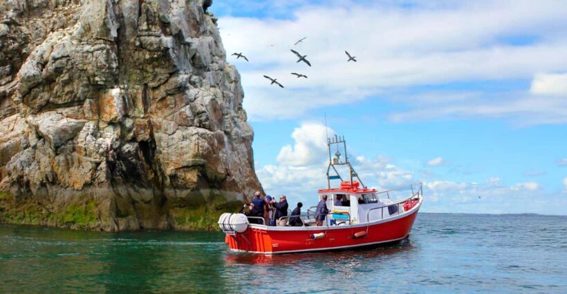 Dublin: Howth Coastal Boat Tour - What to Expect and What Not to Expect