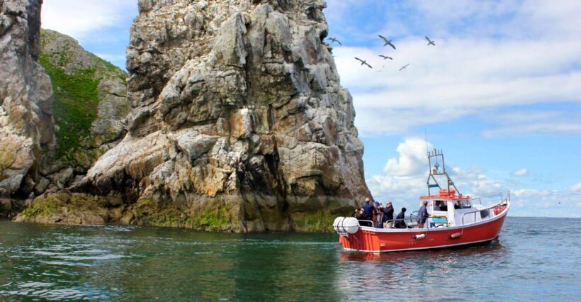 Dublin: Howth Coastal Boat Tour - Price and Value
