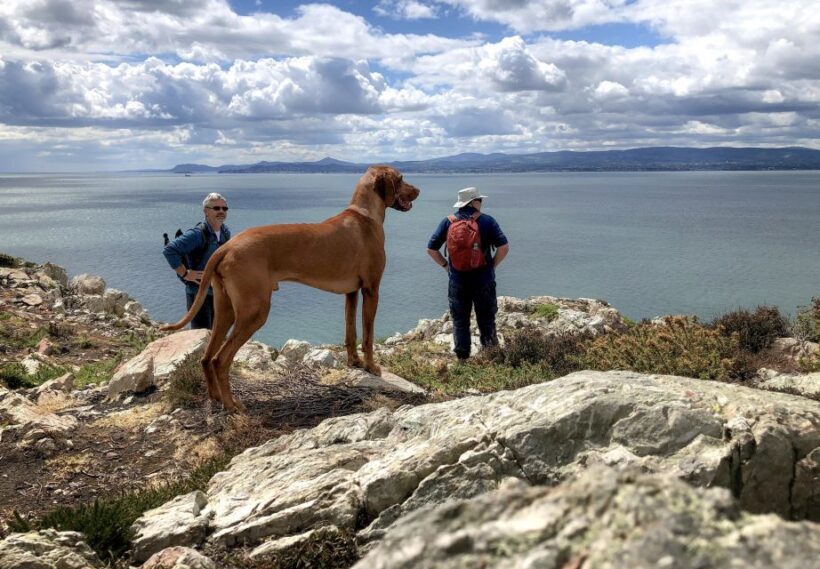 Dublin: Howth Coastal Hiking Tour - Why People Rave About It