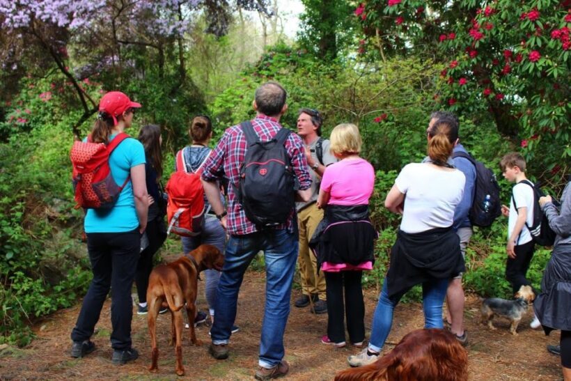 Dublin: Howth Coastal Hiking Tour - Who Should Join?