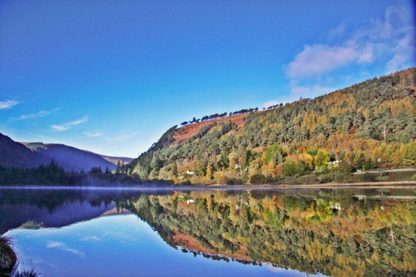 Dublin: Kilkenny, Wicklow & Glendalough Tour & Sheepdog Show - Authentic Experiences and Real Traveler Insights
