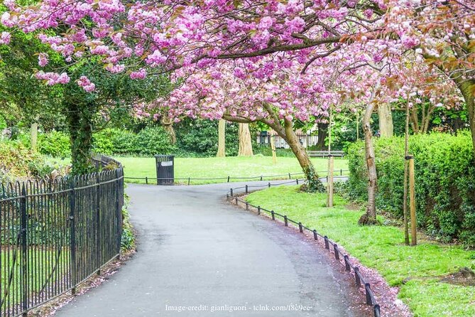 Dublin Off-The-Beaten-Path Private Literary Walking Tour - FAQ