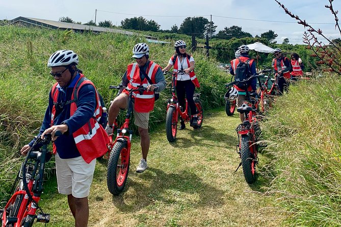 Dublin Panoramic e-Bike Tour with Howth Adventures - The Value of the Tour and What It Means for You