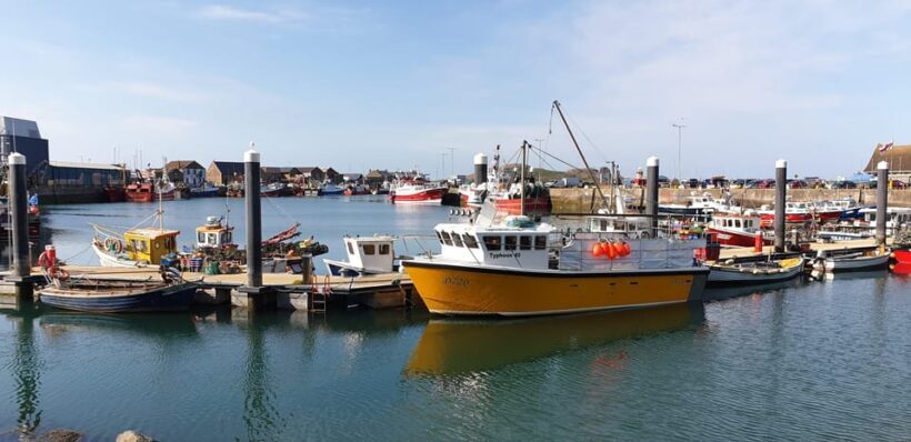 Dublin: Private Day Tour of Howth and Malahide Villages - A Closer Look at the Experience