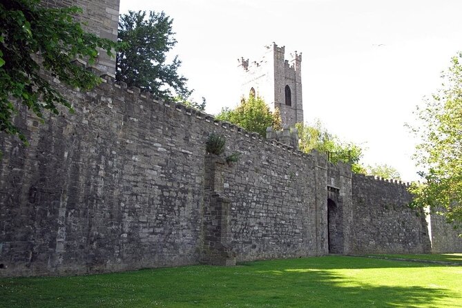 Dublin Private Medieval Walking Tour - Pricing and Booking