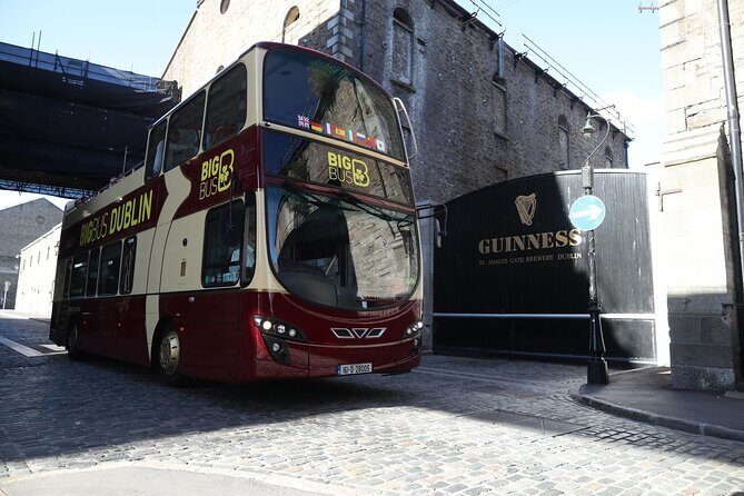 Dublin Shore Excursion, Live Guided Open-top, Hop-on Hop-off Sightseeing Tour - Who Will Enjoy This Tour?