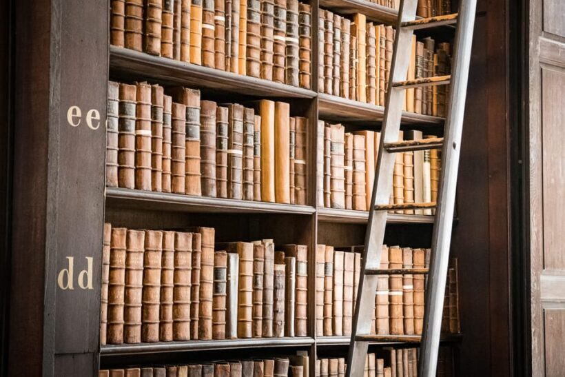 Dublin: St Patrick's, Book of Kells, and Dublin Castle Tour - Who Will Love This Tour?