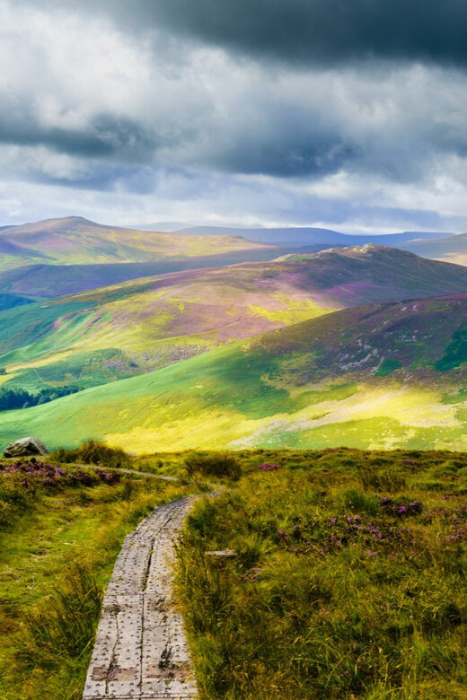 Dublin to County Wicklow & Glendalough Private Trip by Car - What Makes This Tour Stand Out?