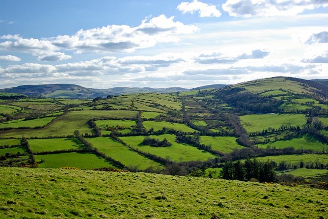 Dublin to Kilkenny Castle and House Of Waterford Crystal Day Tour - Discovering Kilkennys Medieval History