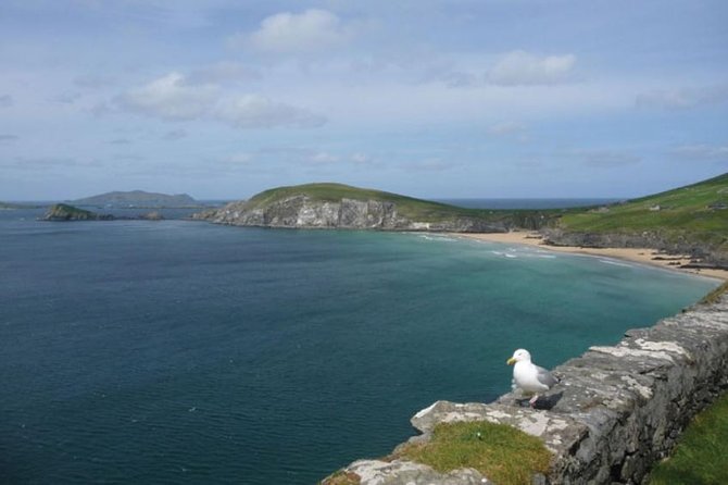 Dublin to South West 5 Day Small-Group Tour With Accommodation - Booking Information and Policies