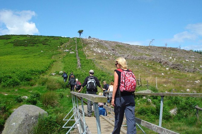 Dublin to Wicklow, Glendalough Small Group Tour with Guided Walk - Who Should Consider This Tour?