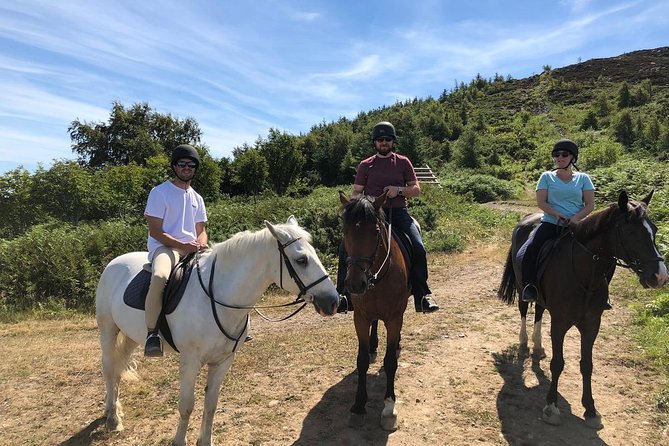 Dublin to Wicklow, Glendalough Small Group Tour with Horse Riding - An In-Depth Look at the Experience