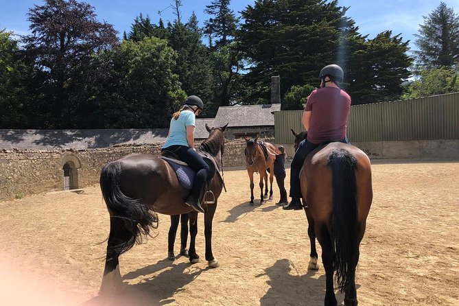 Dublin to Wicklow, Glendalough Small Group Tour with Horse Riding - FAQ