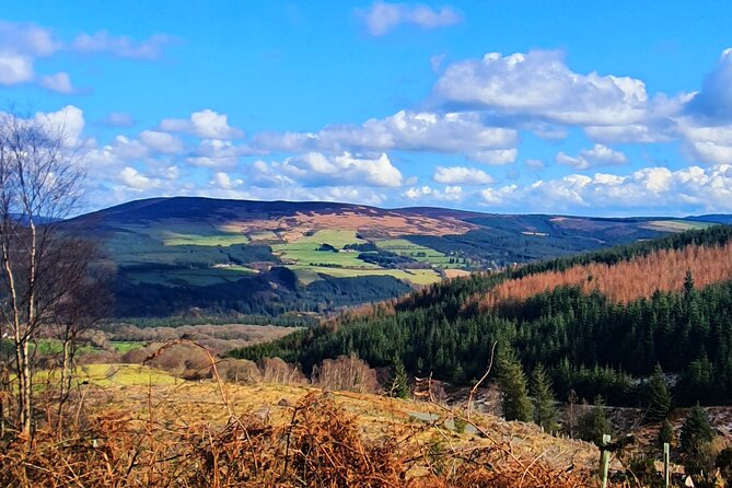 Dublin & Wicklow Mountain Pub Tour Small Group Tour Max 15 People - Why Choose This Tour?