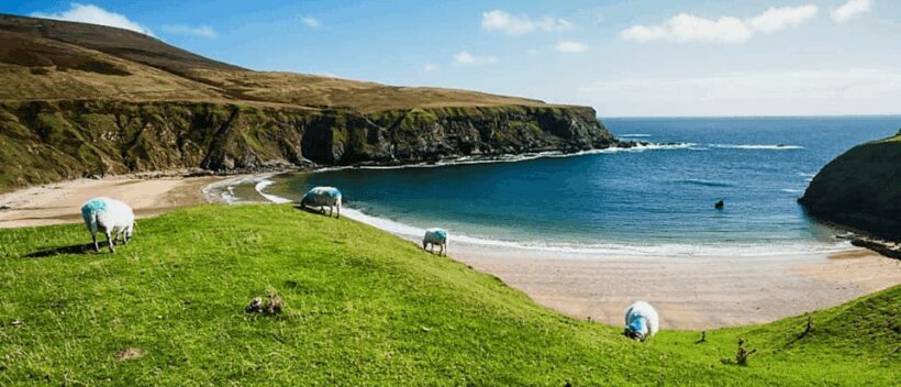 Dublin: Wild Atlantic Way Private Luxury Tour - The Sum Up