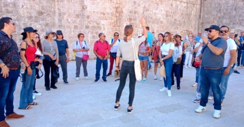 Dubrovnik: 1.5-Hour Guided Old Town Walking Tour - Who Will Love This Tour