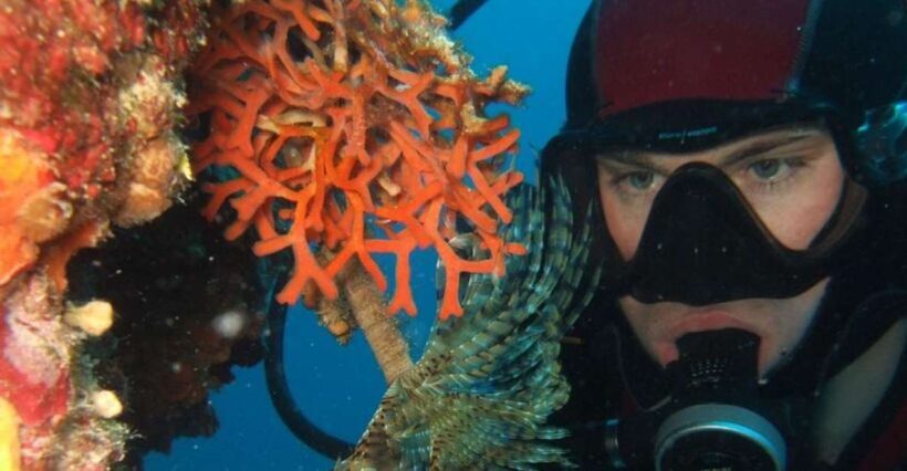 Dubrovnik: 1-Day Diving Package - What Makes This Tour Stand Out
