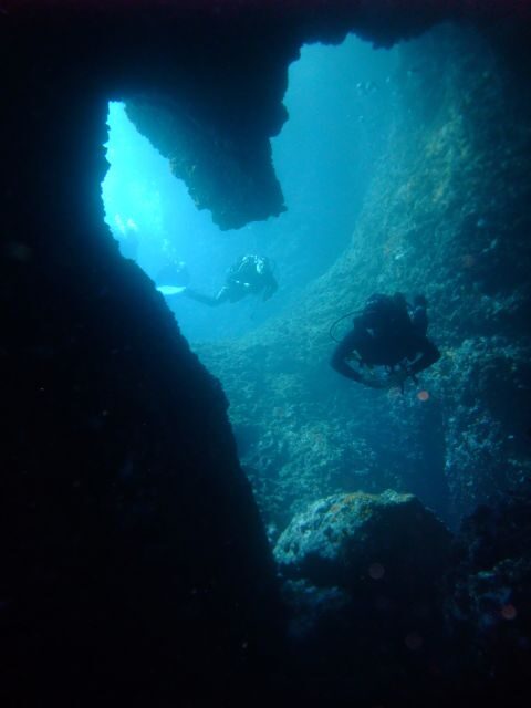 Dubrovnik: 1-Day Diving Package - Price and Value Analysis