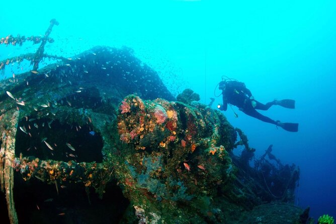 Dubrovnik 1 Dive for Certified Divers - A Practical Look at Dubrovnik’s Certified Diver Experience