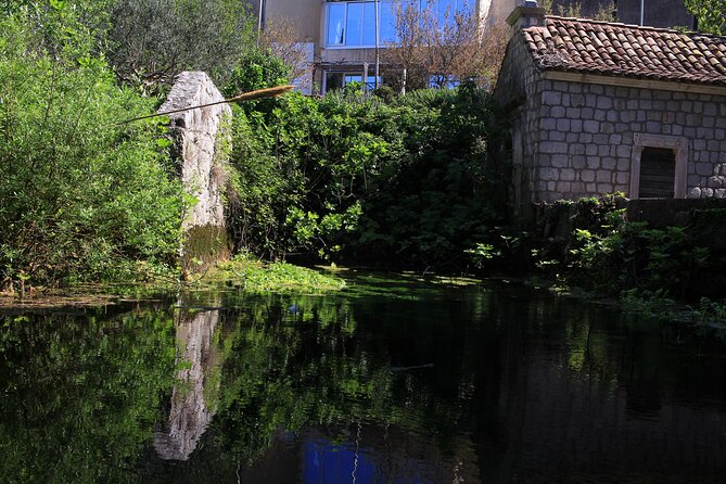 Dubrovnik: Best Views Sightseeing Tour - Scenic Photo Stops