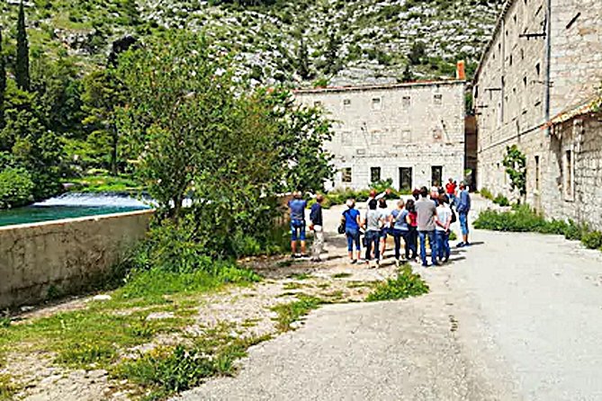 Dubrovnik City Tour: Panorama Drive & Sightseeing Walk - Transportation and Group Experience