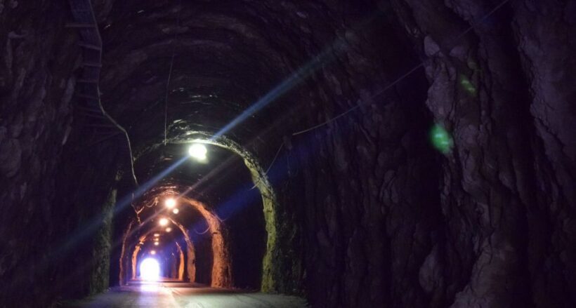 Dubrovnik: Day Trip to 3 Peljesac Wineries with Tastings - An In-Depth Look at the Experience