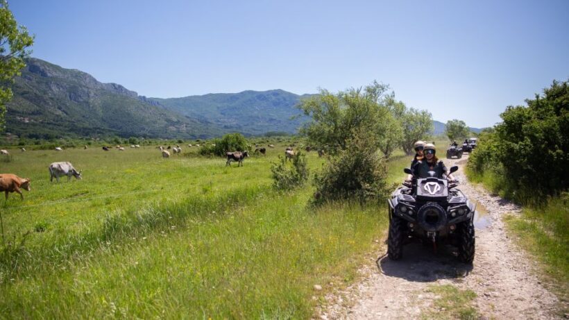 Dubrovnik: Kojan Koral ATV Quad Safari - Practical Details and Tips