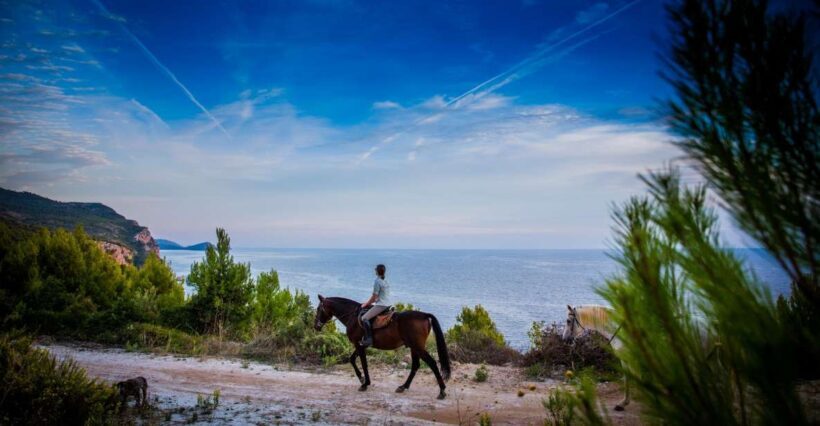 Dubrovnik Kojan Koral: Horseback Riding - The Trails and the Experience