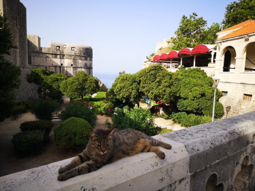 Dubrovnik Old City Private Tour - Why Choose the Dubrovnik Old City Private Tour?