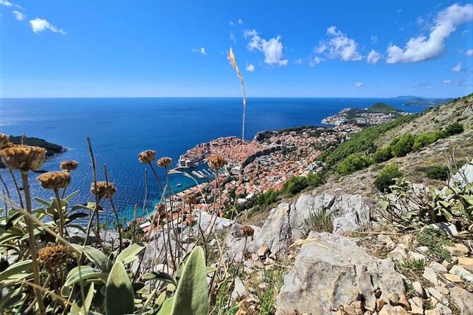 Dubrovnik Panoramic Sightseeing Tour With Guide (Minivan) - Accessibility and Participation