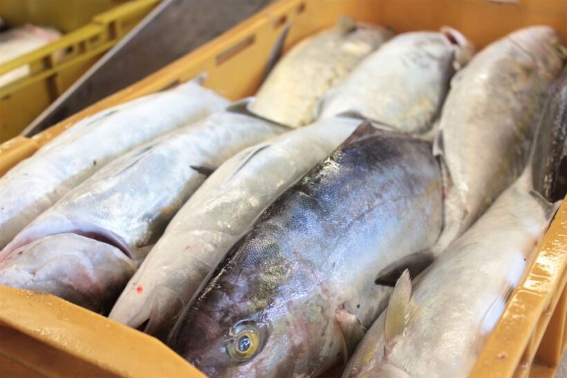 Dubrovnik: Private Cooking Experience with Wine Tasting - Price and Value Considerations