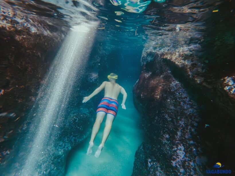 Dubrovnik: Private small group boat tour - Blue Cave - The Itinerary: What You Can Expect