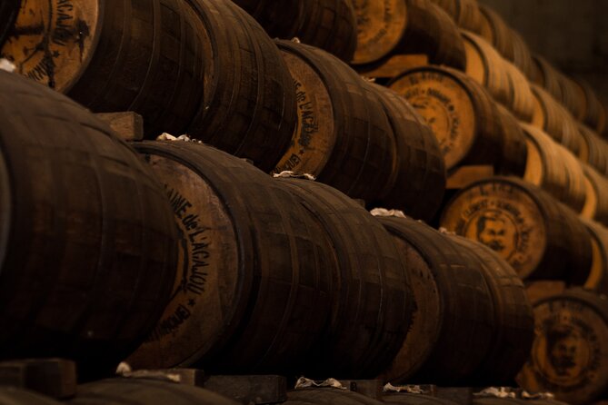 Dubrovnik Private Walking Tour and Wine - What Makes This Tour Stand Out?